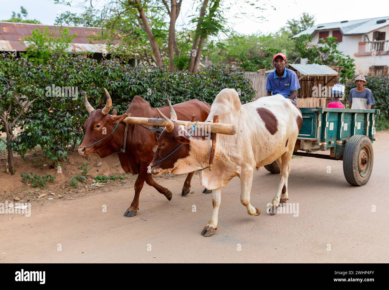 Human drawn carriage hi-res stock photography and images - Alamy