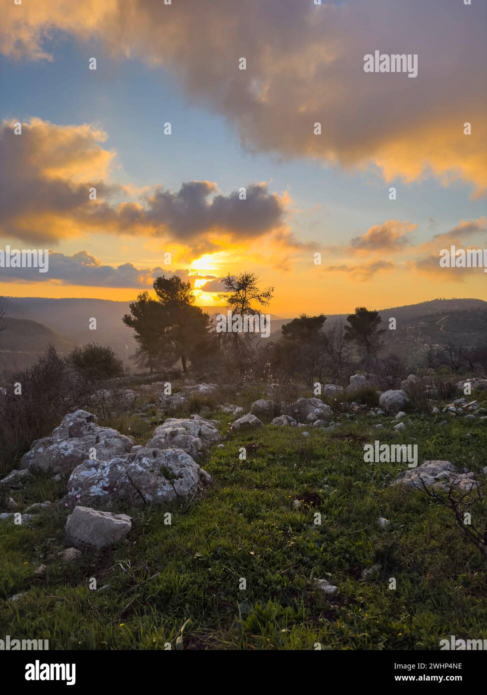 Sunset view from Mt. Eitan in Sataf Nature Reserve located in the heart ...