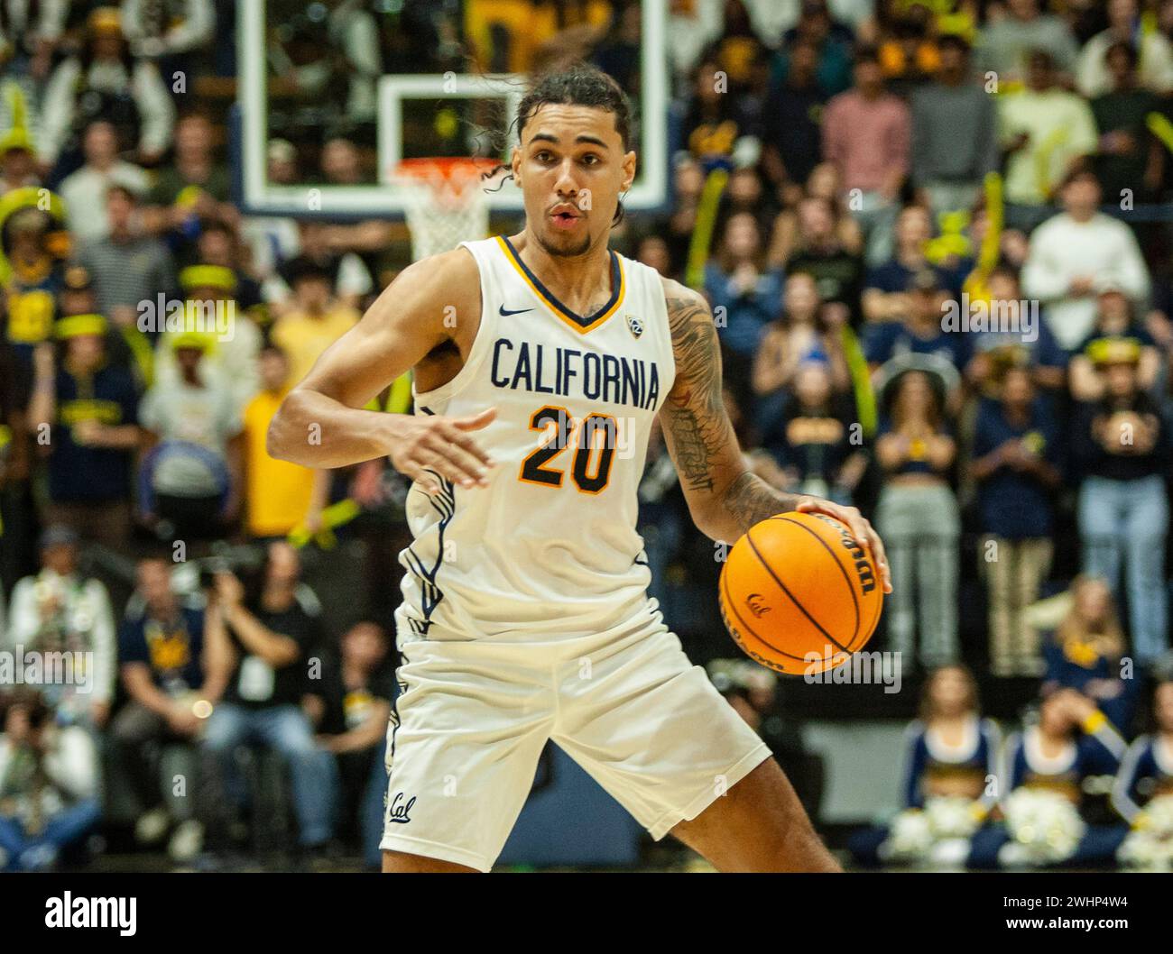 Haas Pavilion Berkeley Calif, USA. 10th Feb, 2024. CA U.S.A. California ...