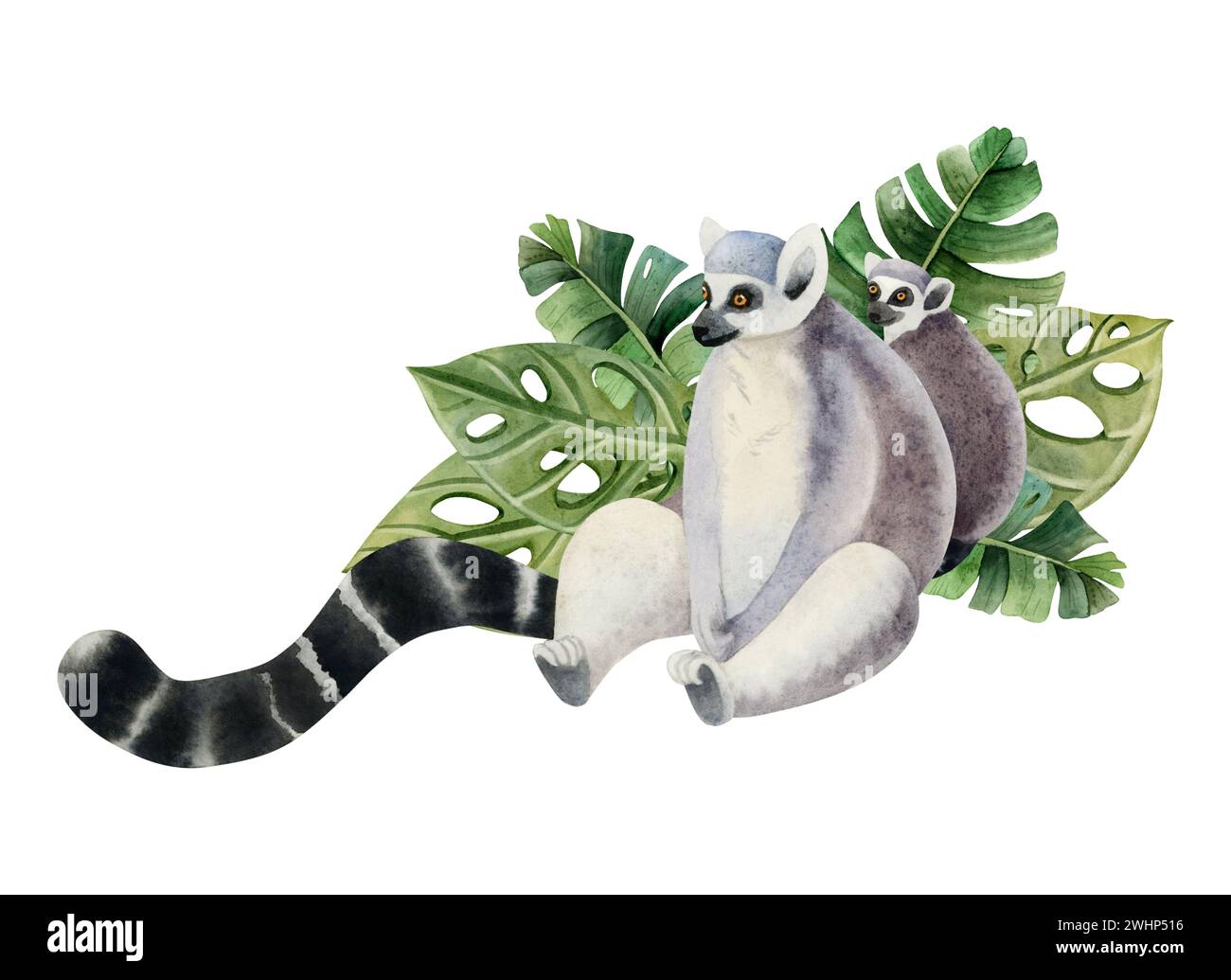 Mother lemur with a cub sitting in tropical palm leaves watercolor ...