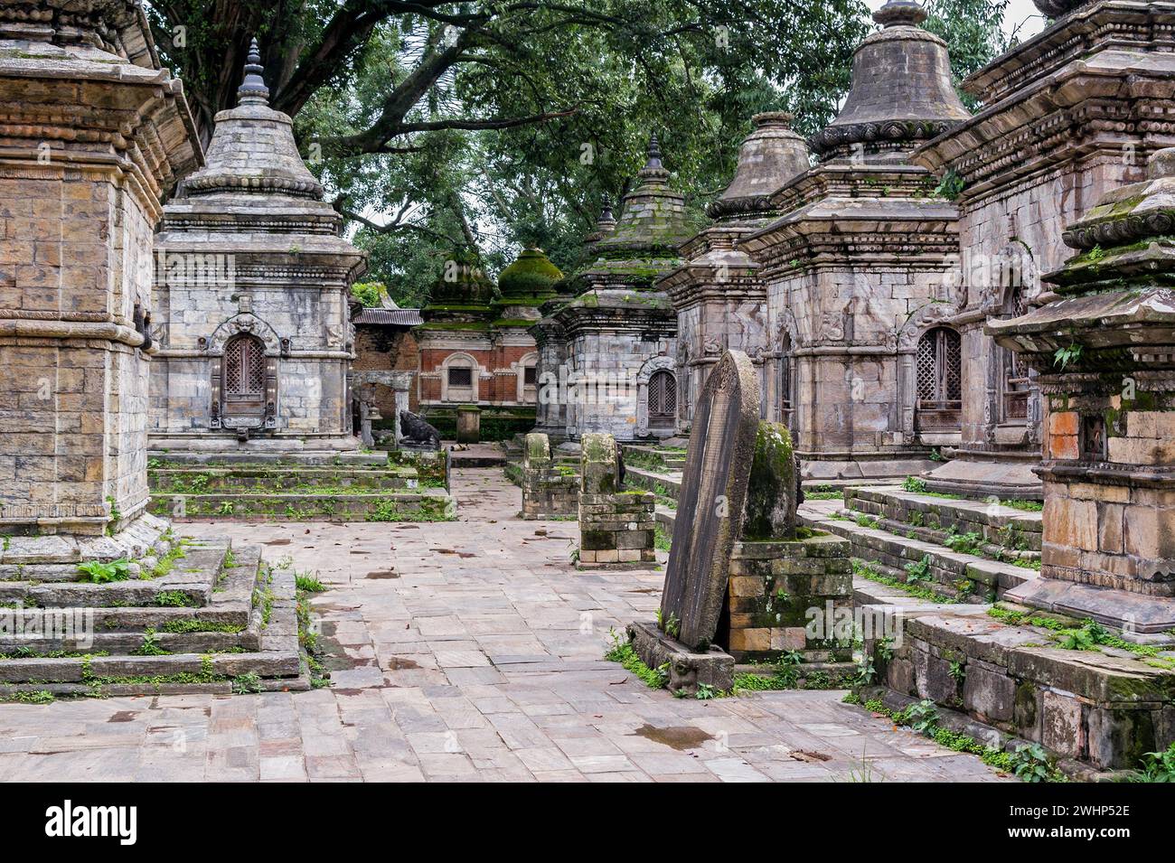 Pandra Shivalaya graveyard in Pashupatinath in Kathmandu, Nepal Stock ...