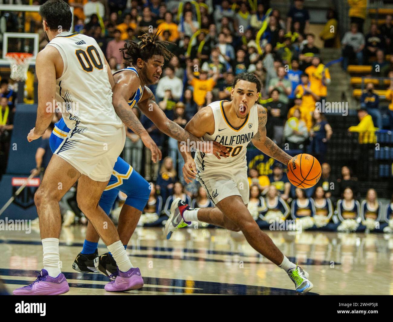 Haas Pavilion Berkeley Calif, USA. 10th Feb, 2024. CA U.S.A. California ...