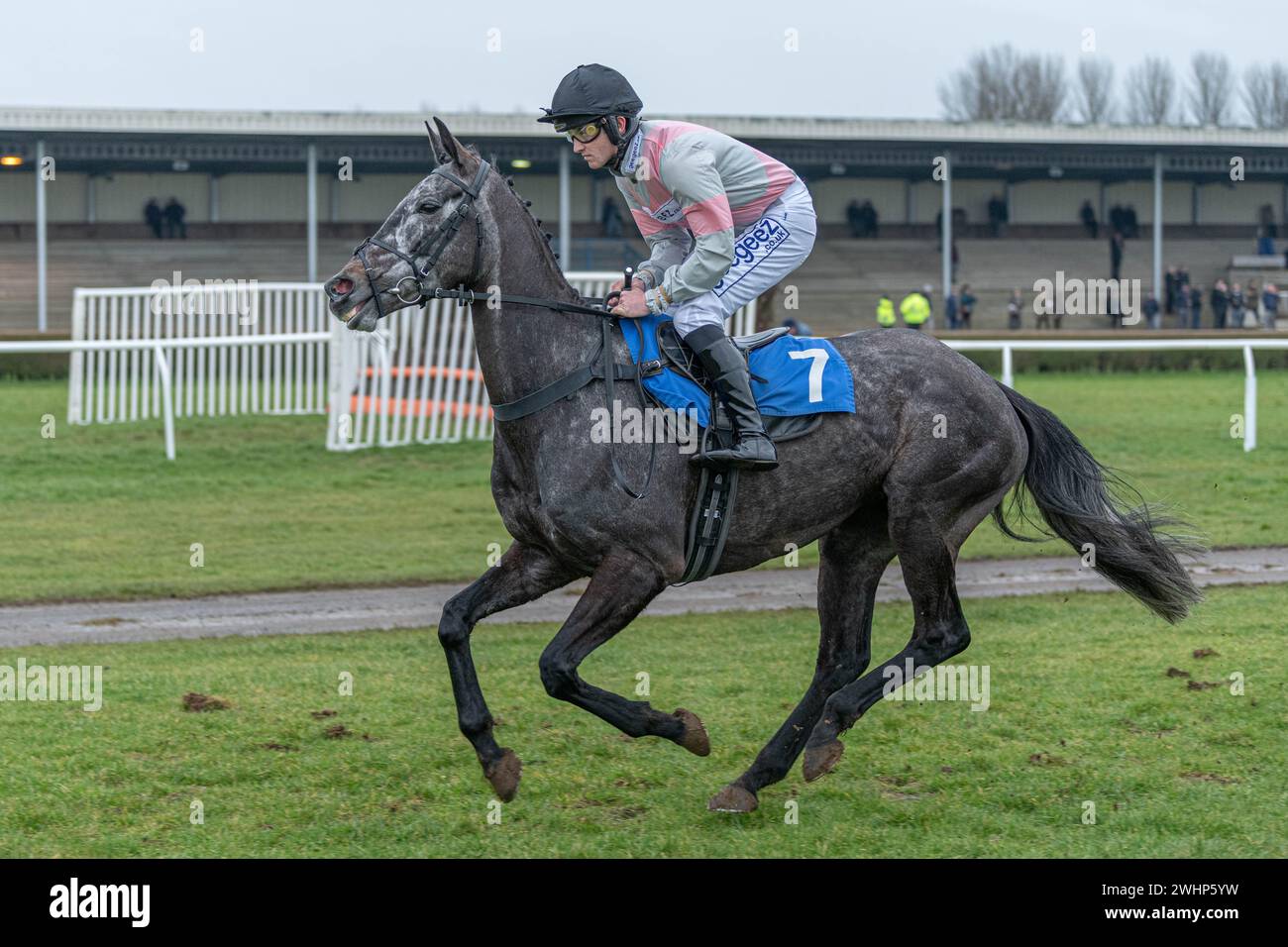 Glorious isolation trained by anthony honeyball hi-res stock ...