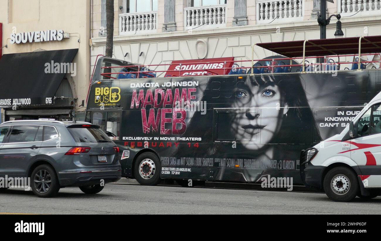 Los Angeles, California, USA 9th February 2024 Dakota Johnson Marvel ...