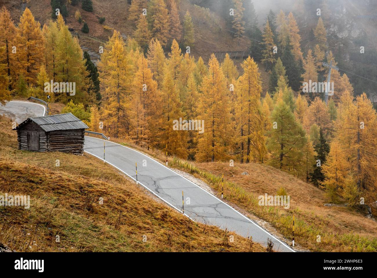 Autumn landscape in the forest. wooden log cabin at the valley. Yellow ...