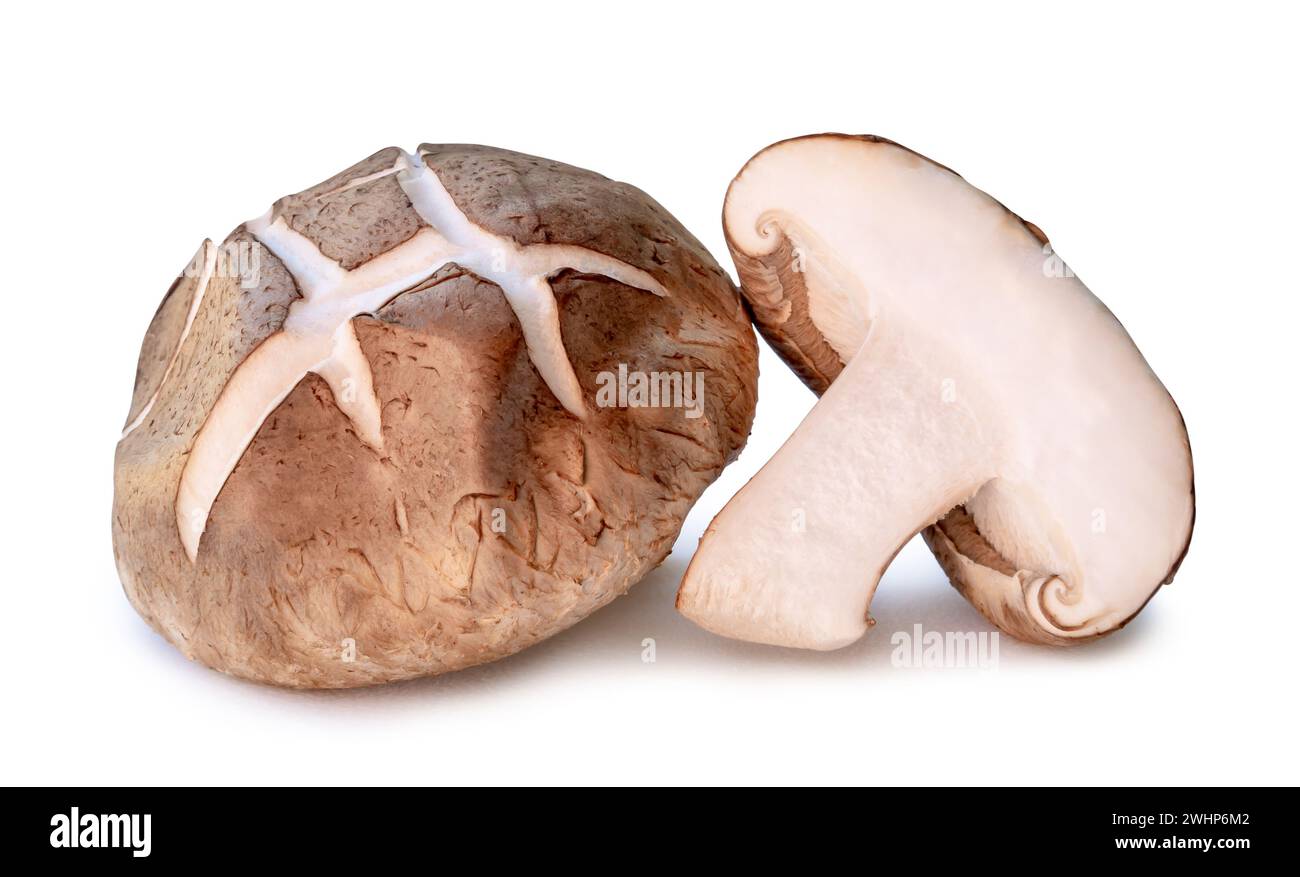 Front view of fresh and dry shiitake mushroom with half in stack is ...