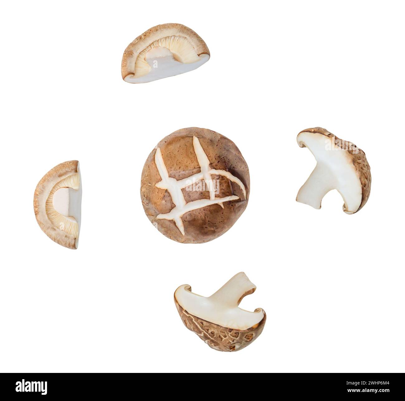 Top view set of shiitake mushroom with halves or slices is isolated on ...