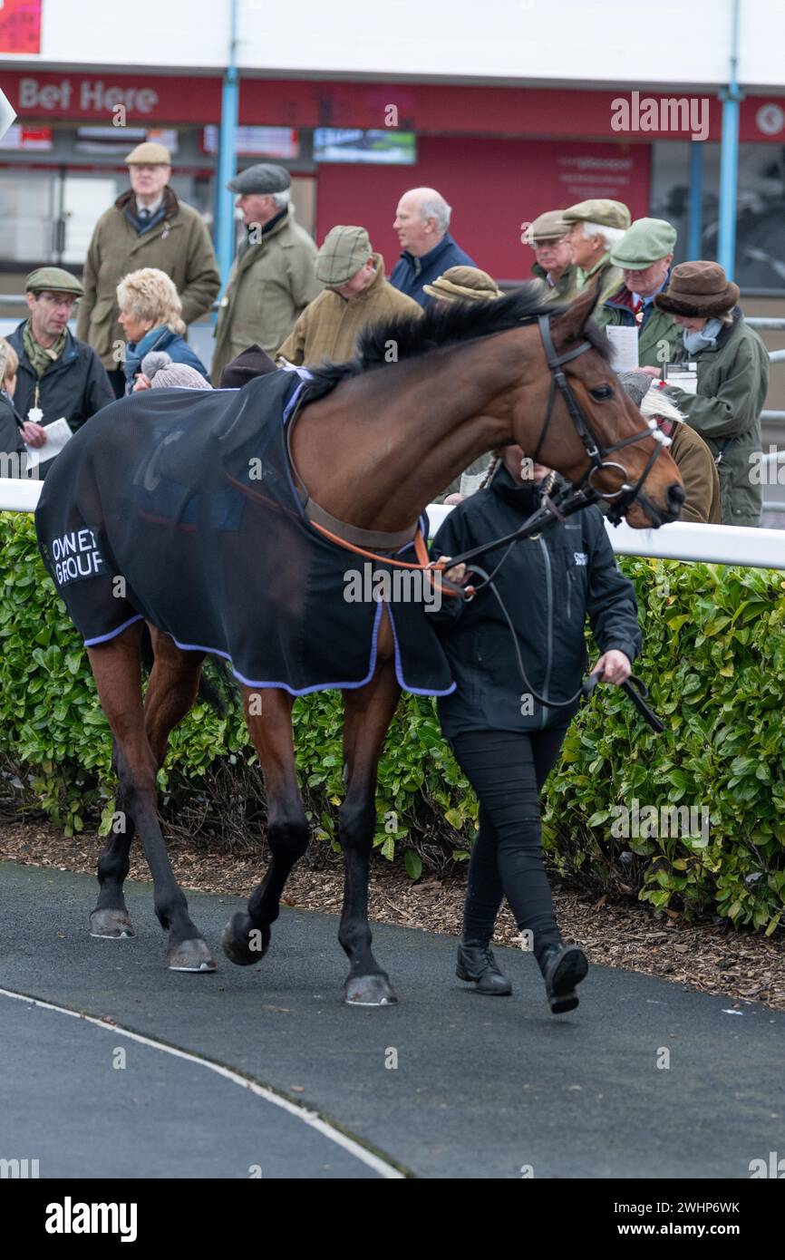 Sixth race at Wincanton, March 2nd 2022 Stock Photo - Alamy