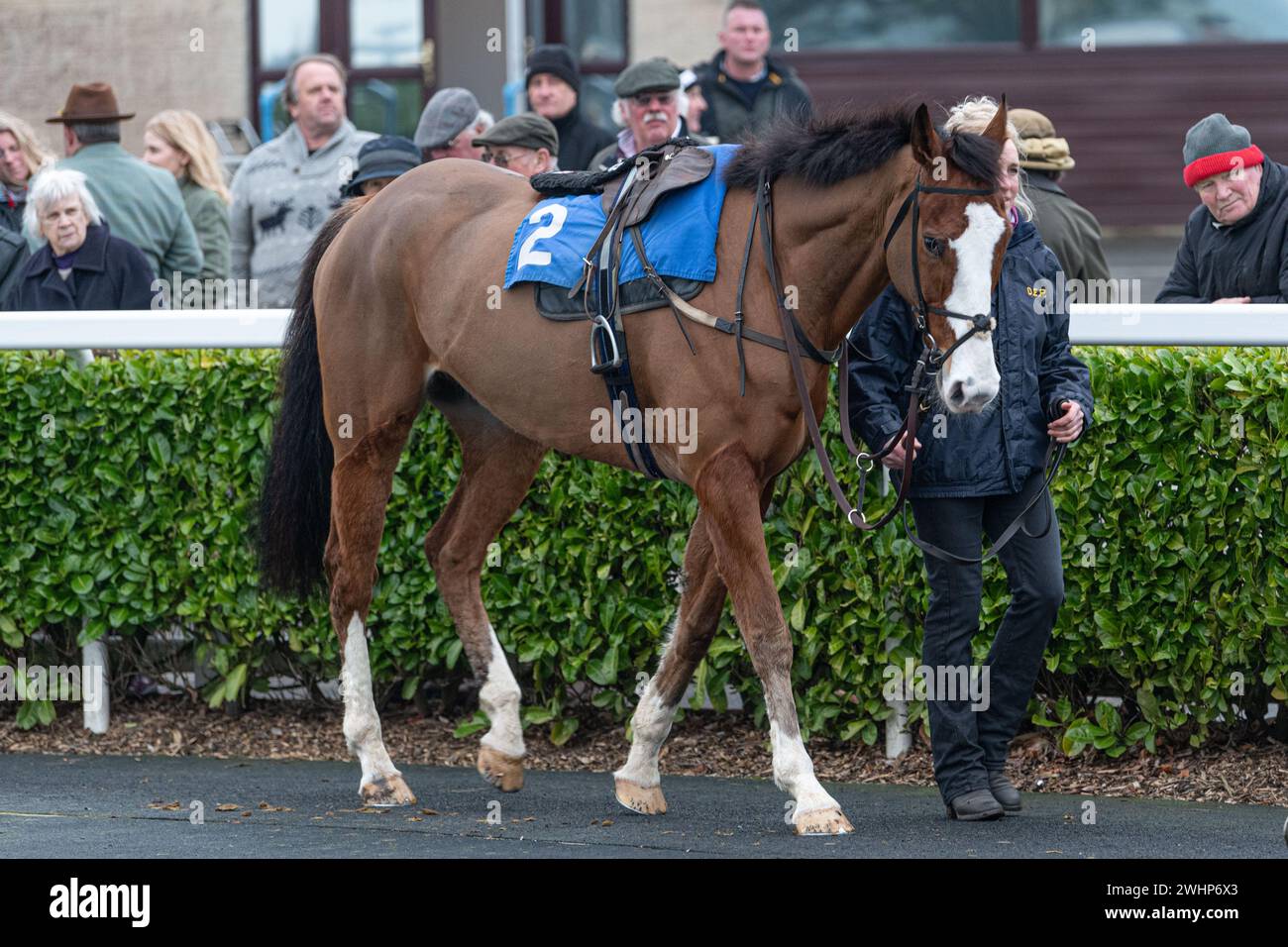 Sixth race at Wincanton, March 2nd 2022 Stock Photo - Alamy