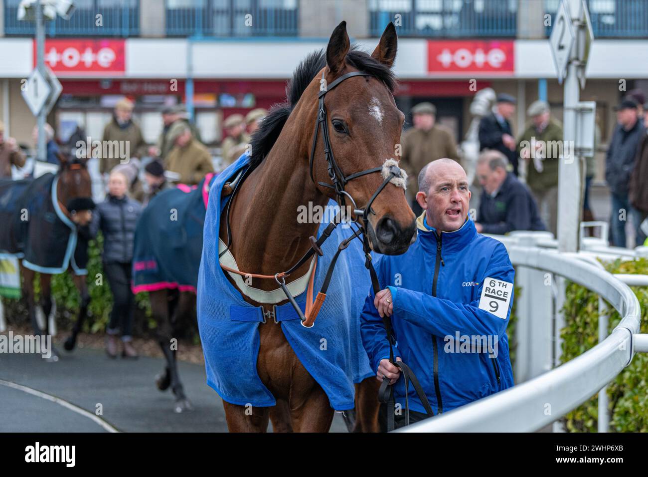 Sixth race at Wincanton, March 2nd 2022 Stock Photo - Alamy