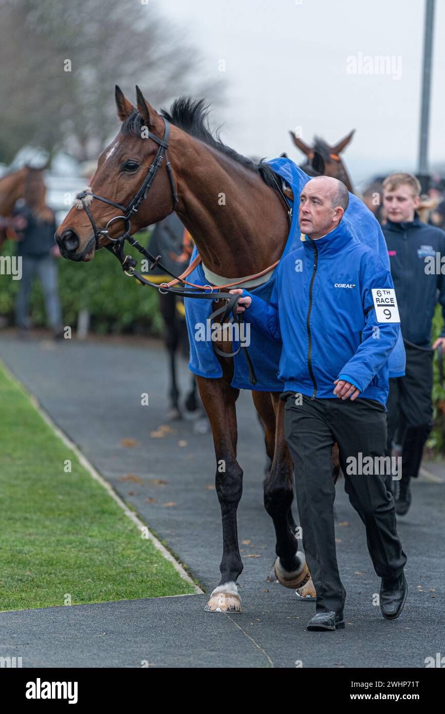 Sixth race at Wincanton, March 2nd 2022 Stock Photo - Alamy