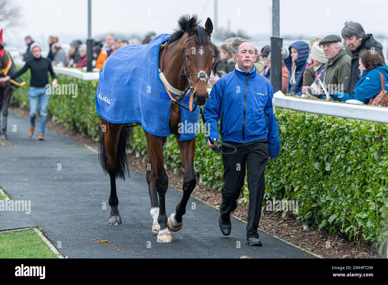 Sixth race at Wincanton, March 2nd 2022 Stock Photo - Alamy