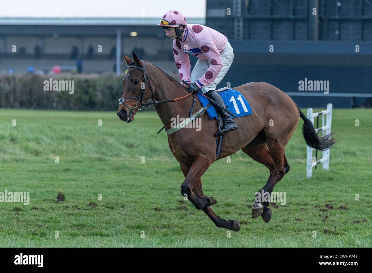 Sixth race at Wincanton, March 2nd 2022 Stock Photo - Alamy