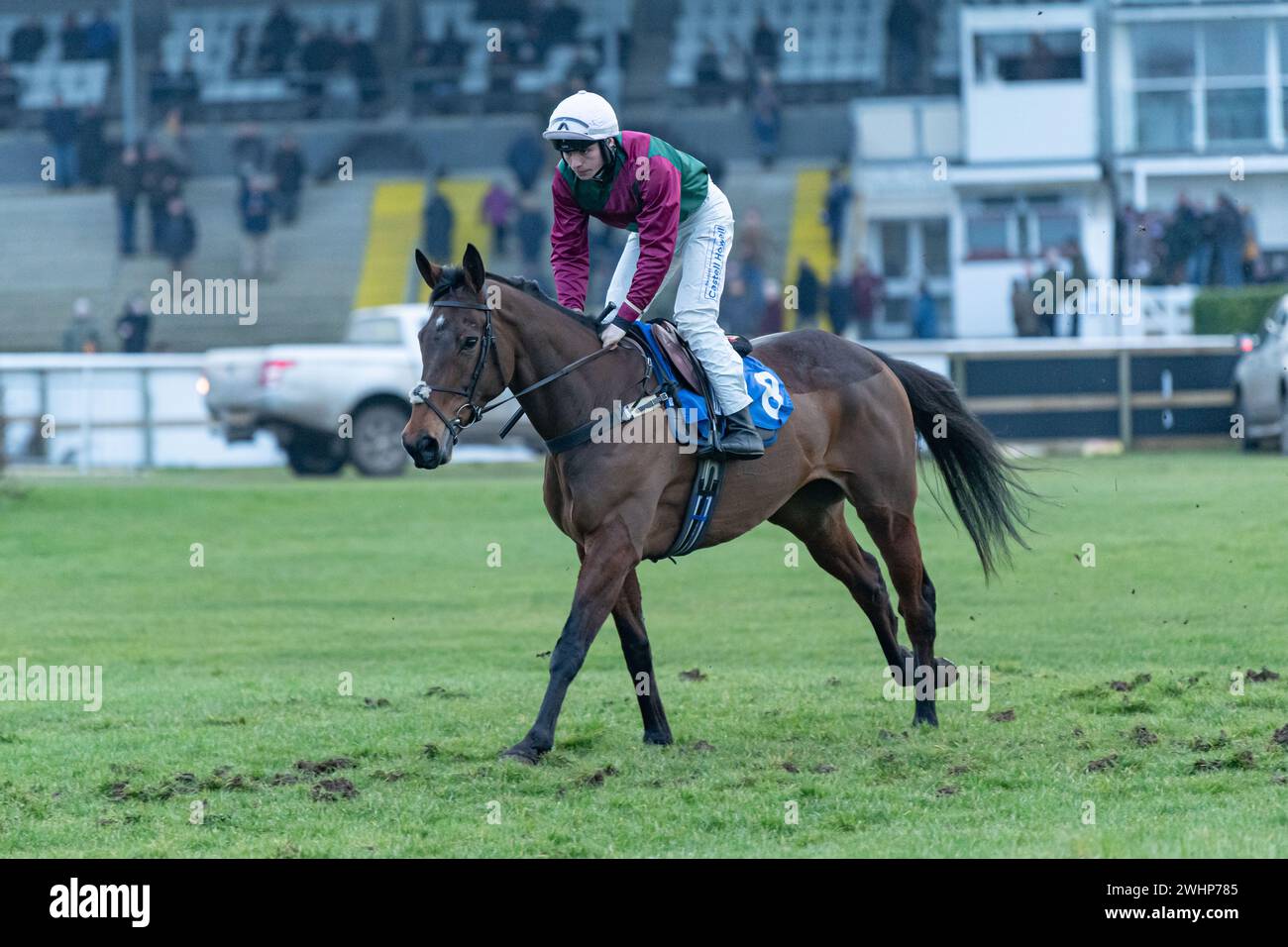 Universal brook cantering to the start hi-res stock photography and ...