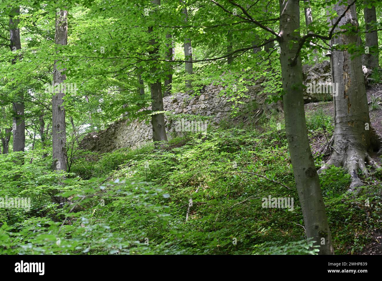 Ried castle hi-res stock photography and images - Alamy