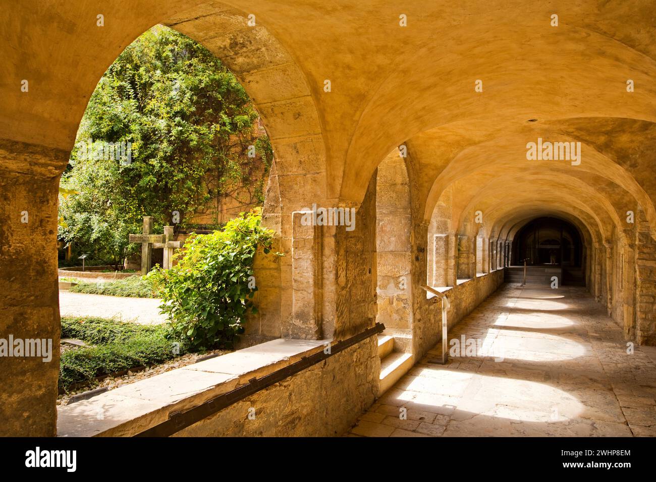 Cloister with a view of the thousand-year-old rose bush, St. Mary's ...