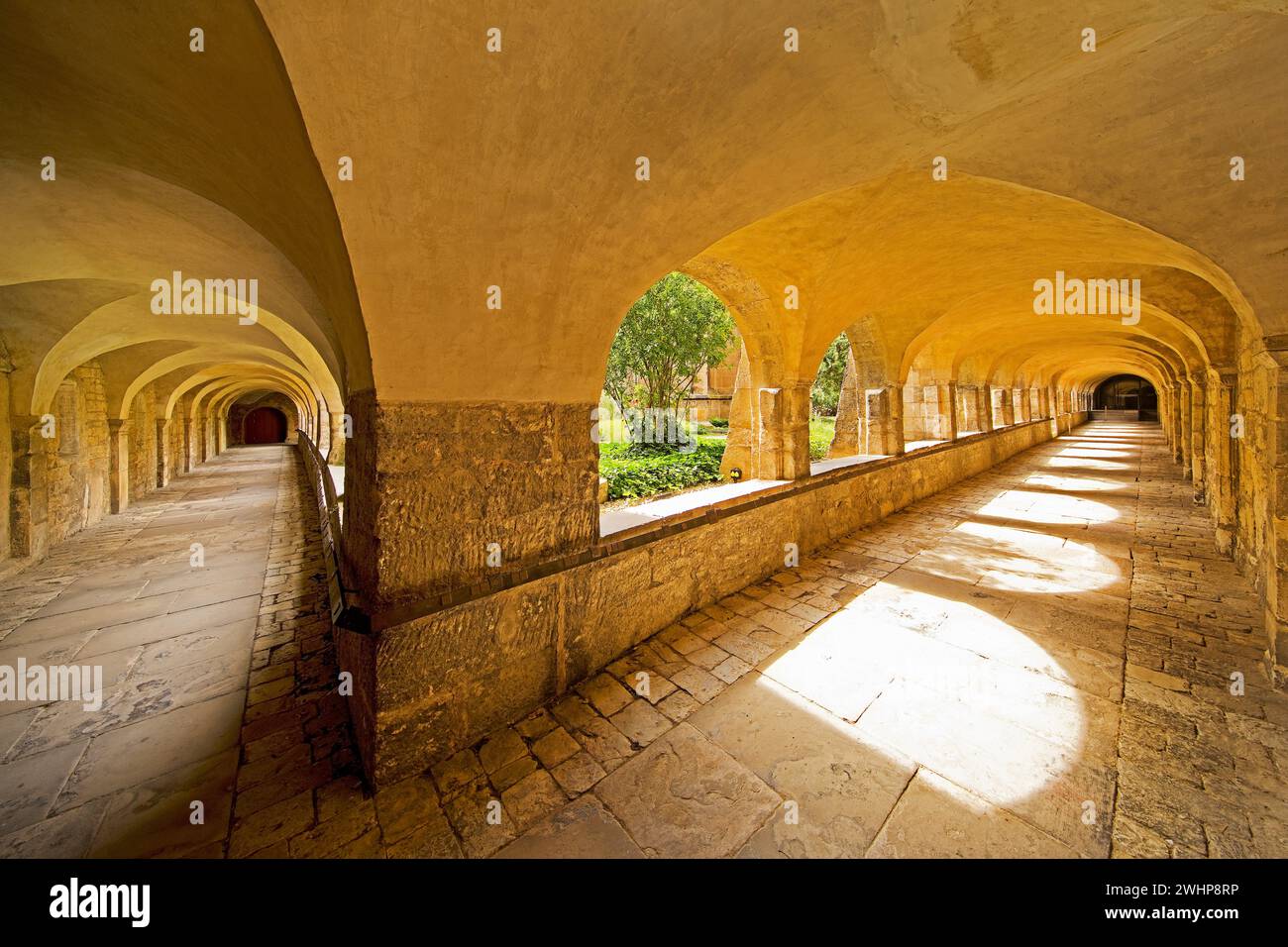 Cloister with a view of the thousand-year-old rose bush, St. Mary's ...