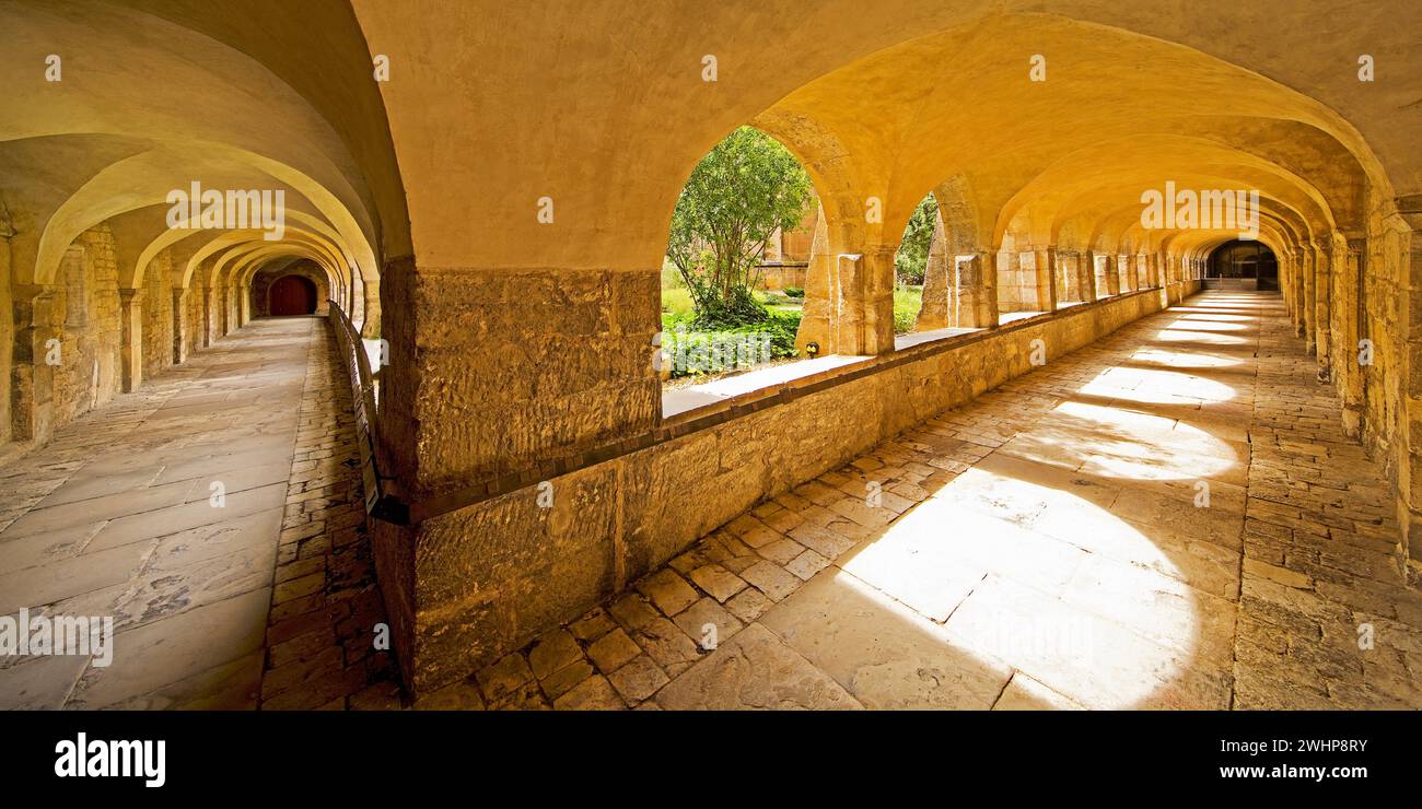 Cloister with a view of the thousand-year-old rose bush, St. Mary's ...