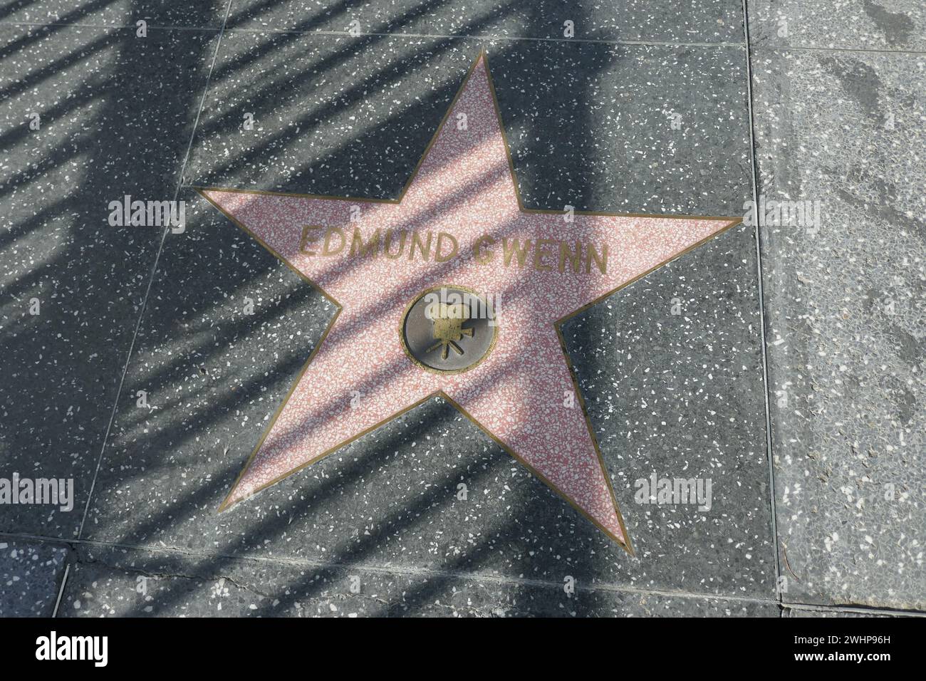 Los Angeles, California, USA 9th February 2024 Actor Edmund Gwenn ...