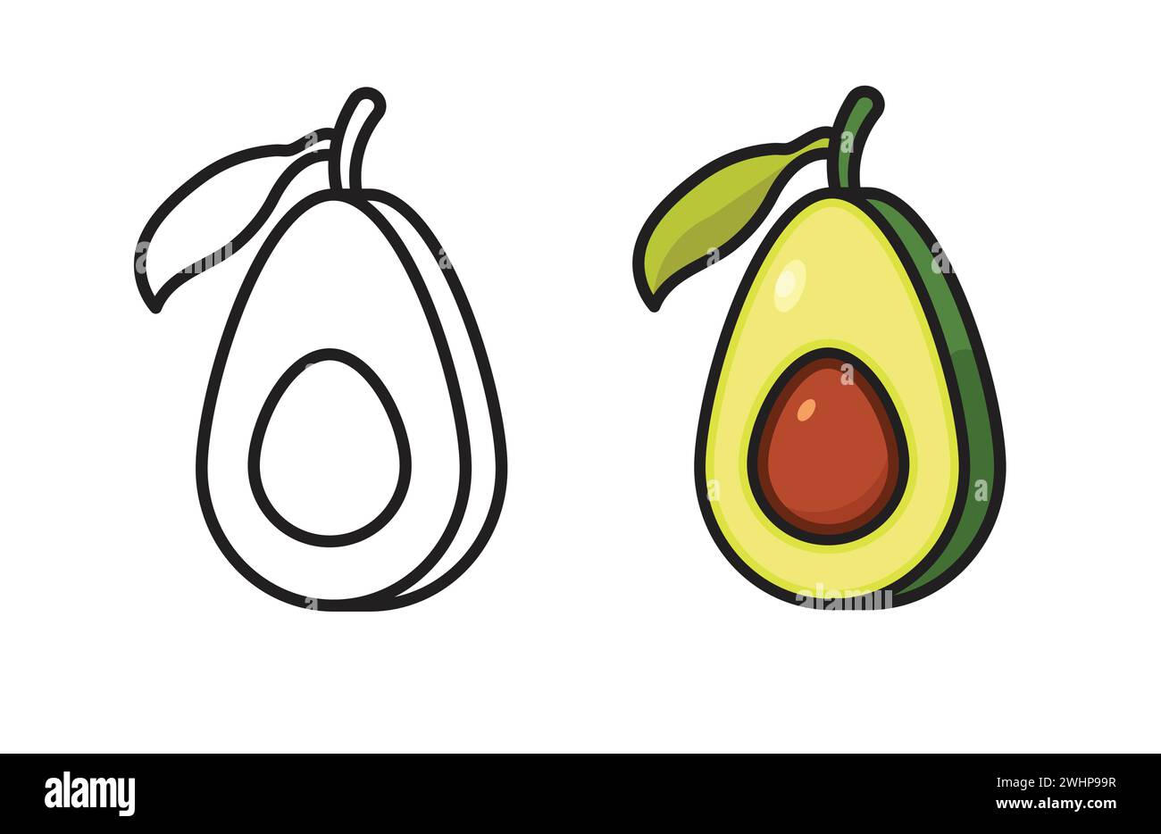 Garden fresh avocado icon. avocado fruits healthy lifestyle symbol ...