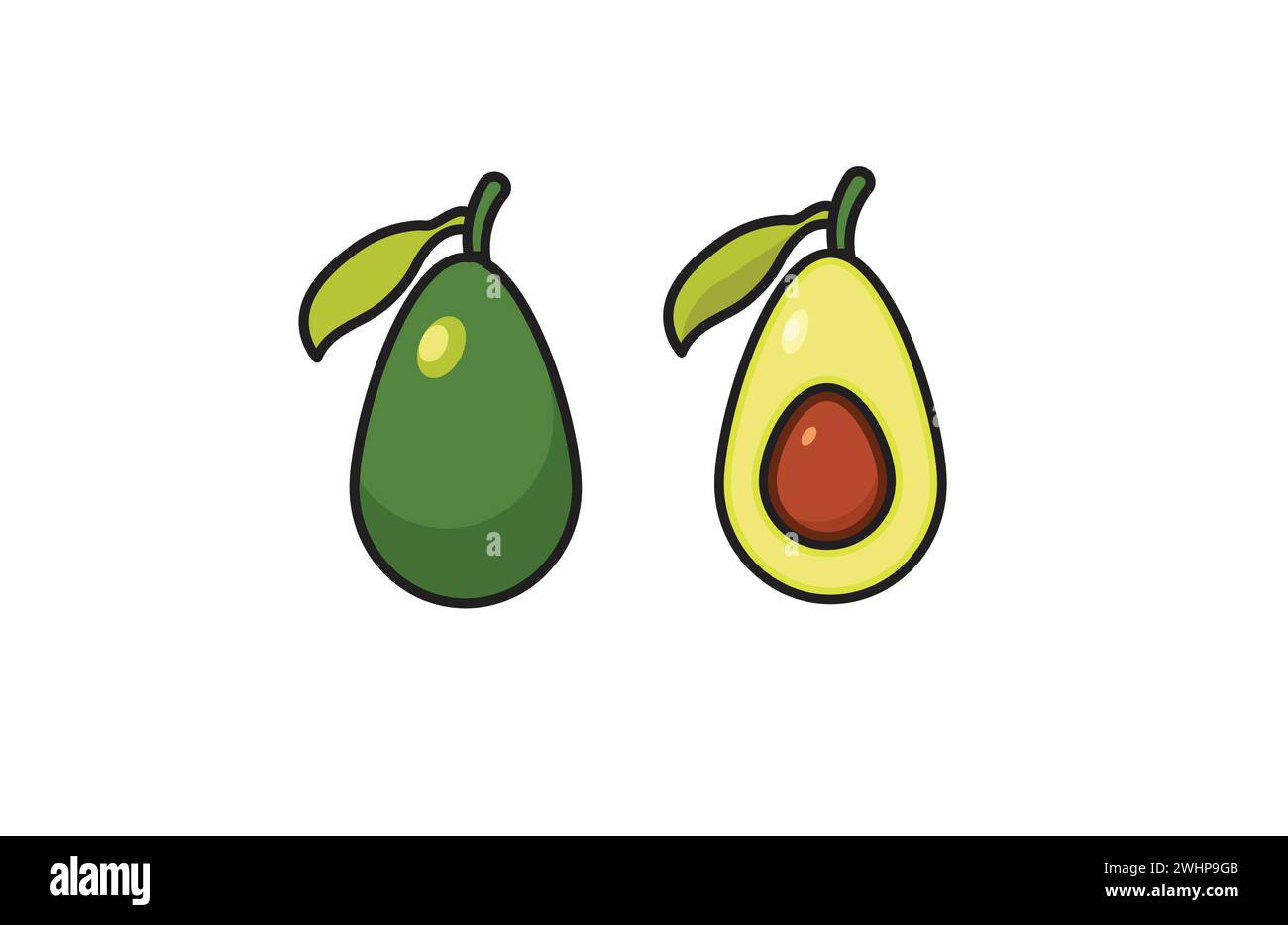 Garden fresh avocado icon. avocado fruits healthy lifestyle symbol ...