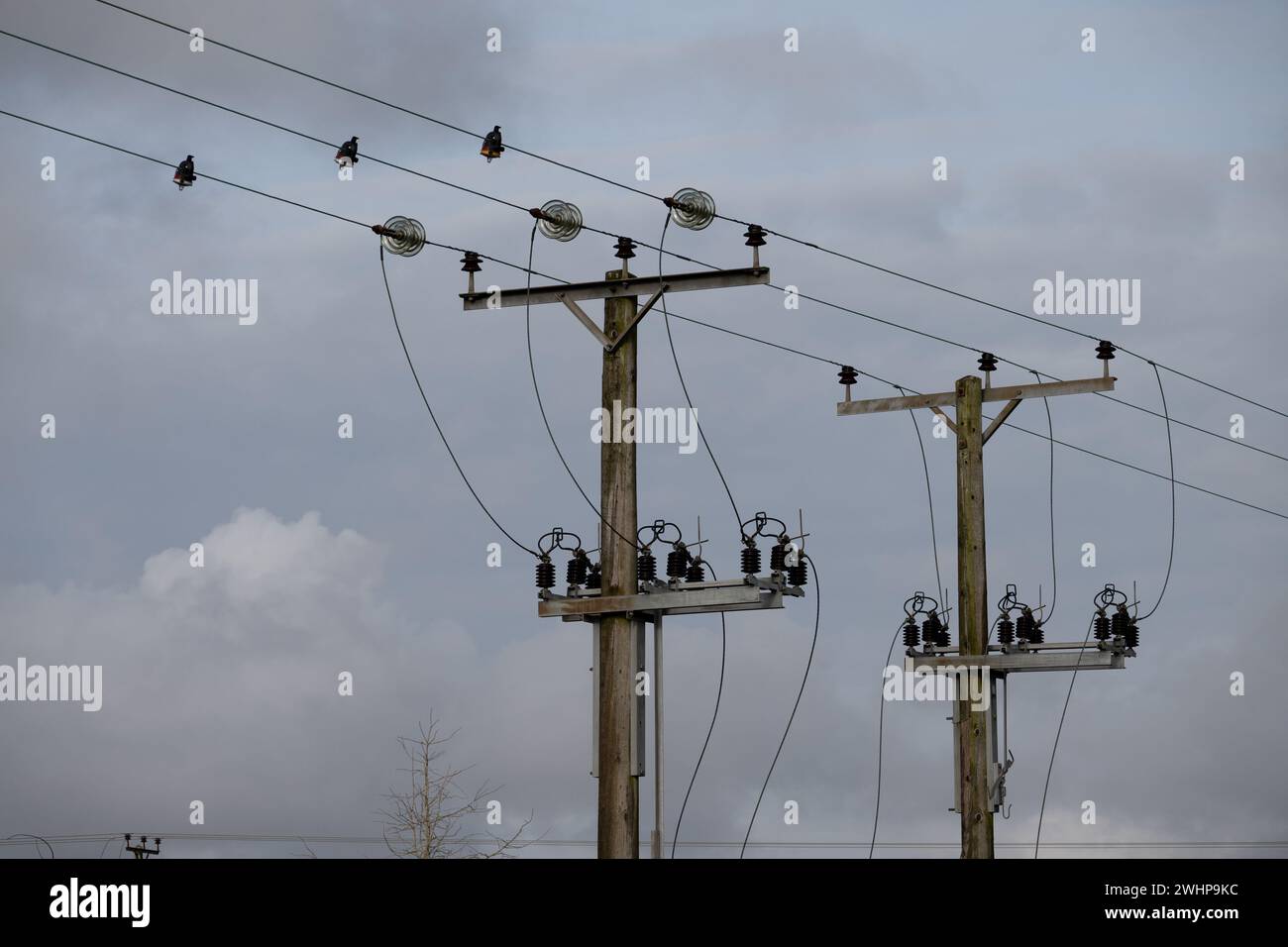 Overhead power lines uk hi-res stock photography and images - Alamy