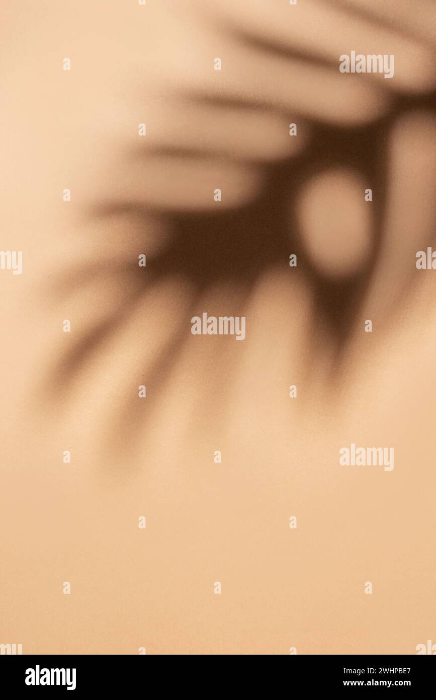 Abstract blurred shadows tree leaves hi-res stock photography and ...