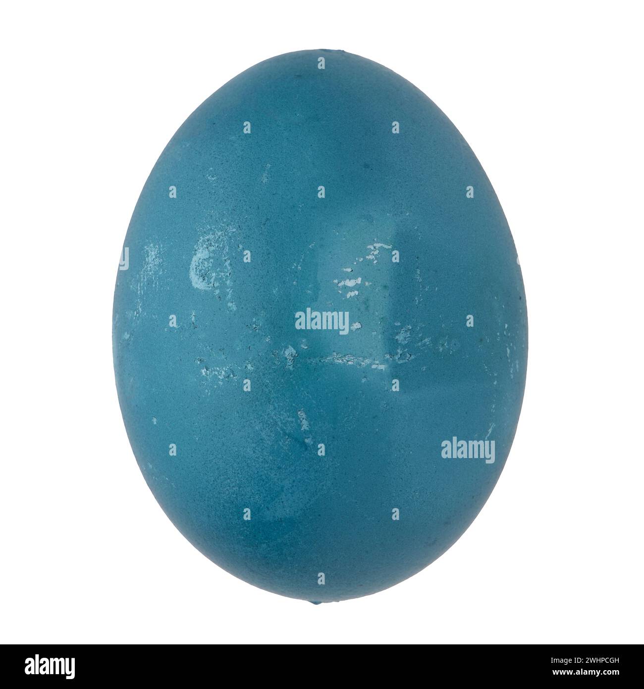 Blue hen, chicken Cut Out Stock Images & Pictures - Alamy