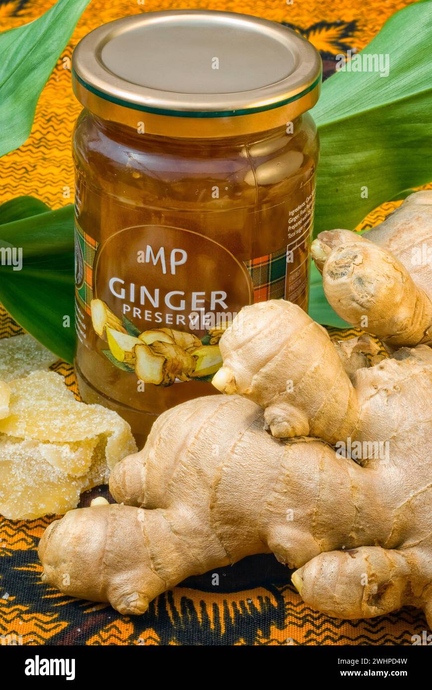 Ginger root (Zingiber officinale), Zinjgiberaceae. Aromatic and spicy ...