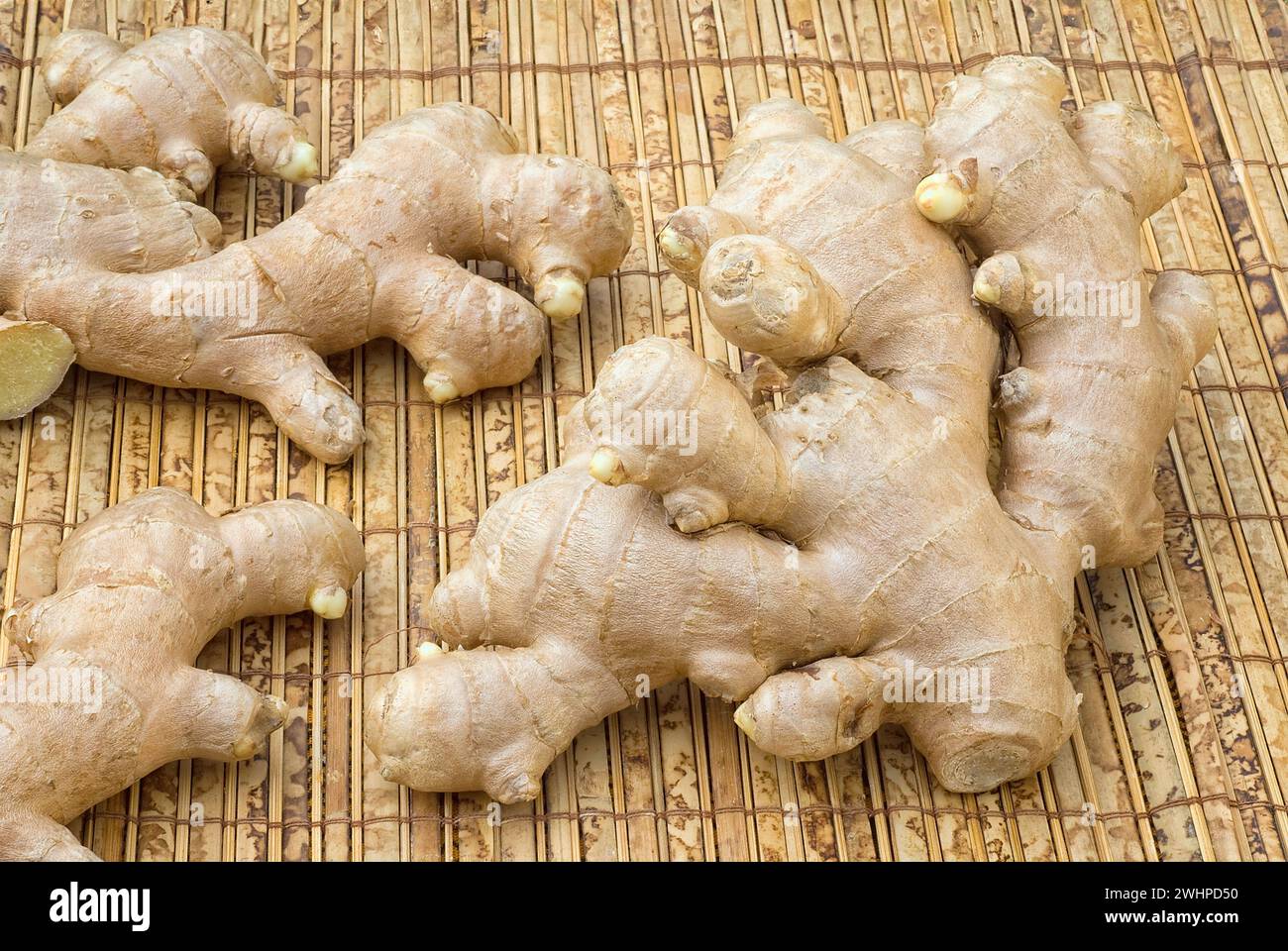 Ginger root (Zingiber officinale), Zinjgiberaceae. Aromatic and spicy ...