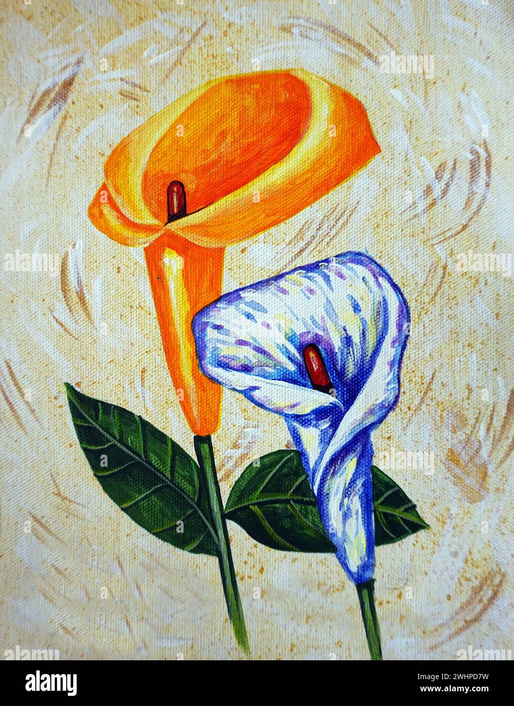 Modern lily garden hi-res stock photography and images - Alamy