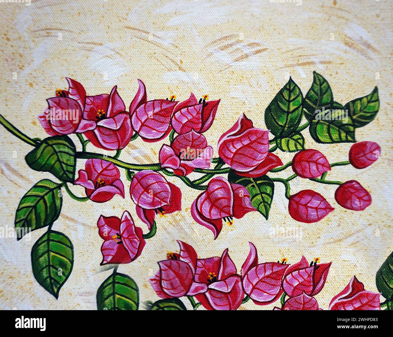 Bougainvillea Flower Drawing