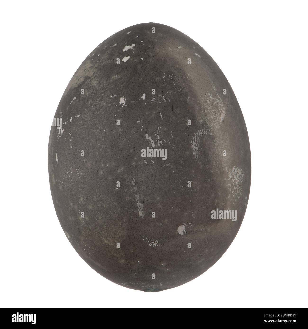 Black background egg Cut Out Stock Images & Pictures - Alamy