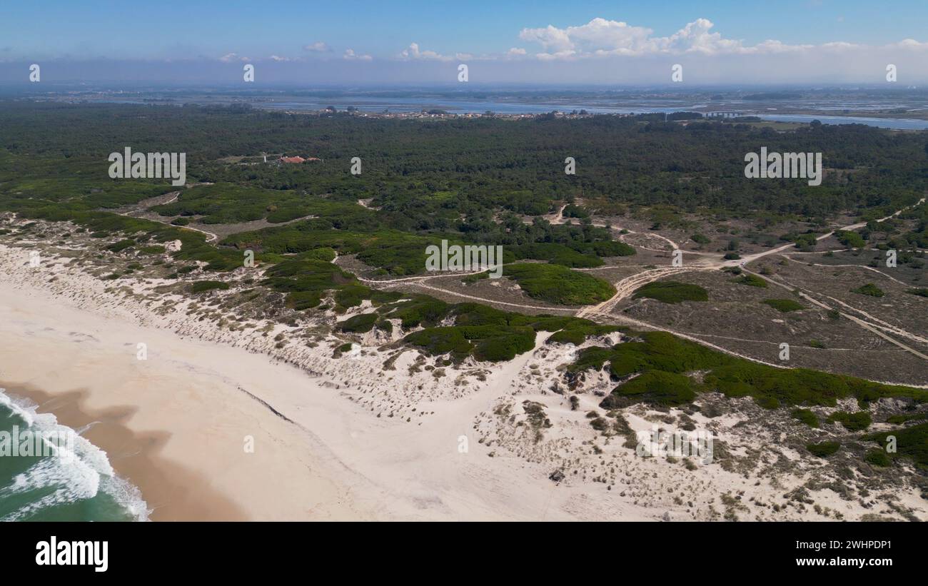 Wave crashing on sandy beach hi-res stock photography and images - Alamy