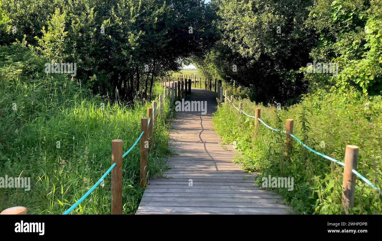 Point view shot riding bicycle hi-res stock photography and images - Alamy