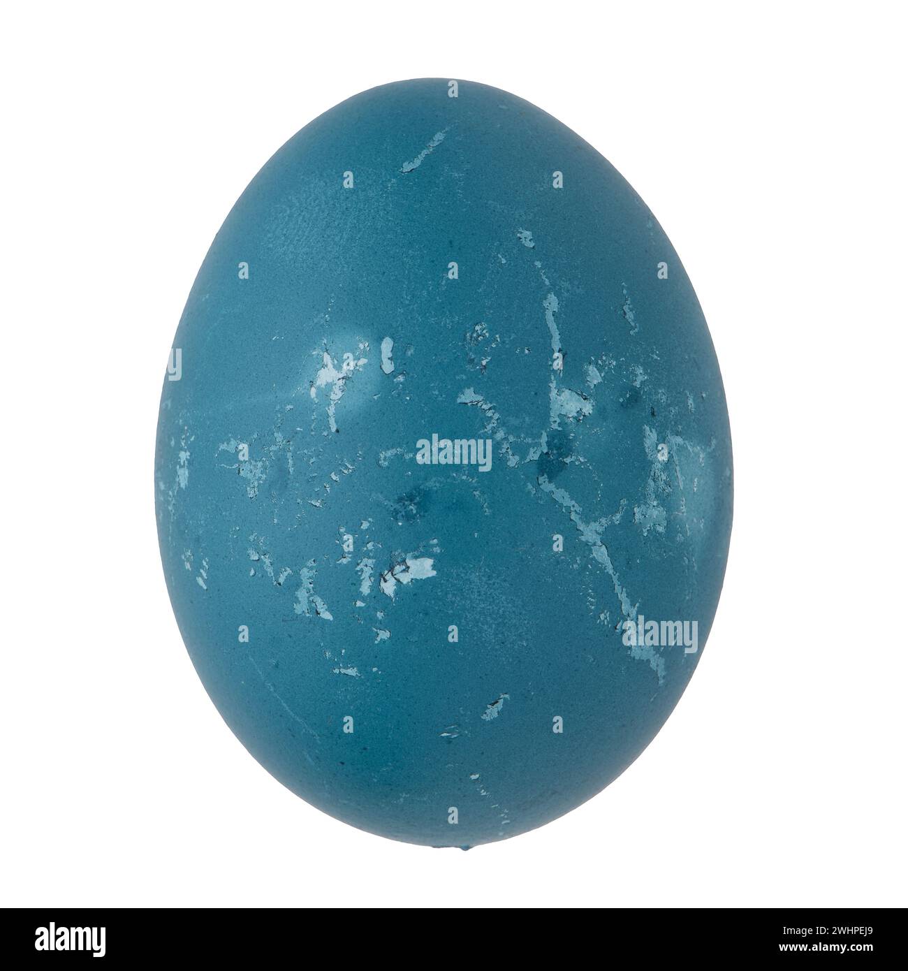 Blue egg isolated Stock Photo - Alamy