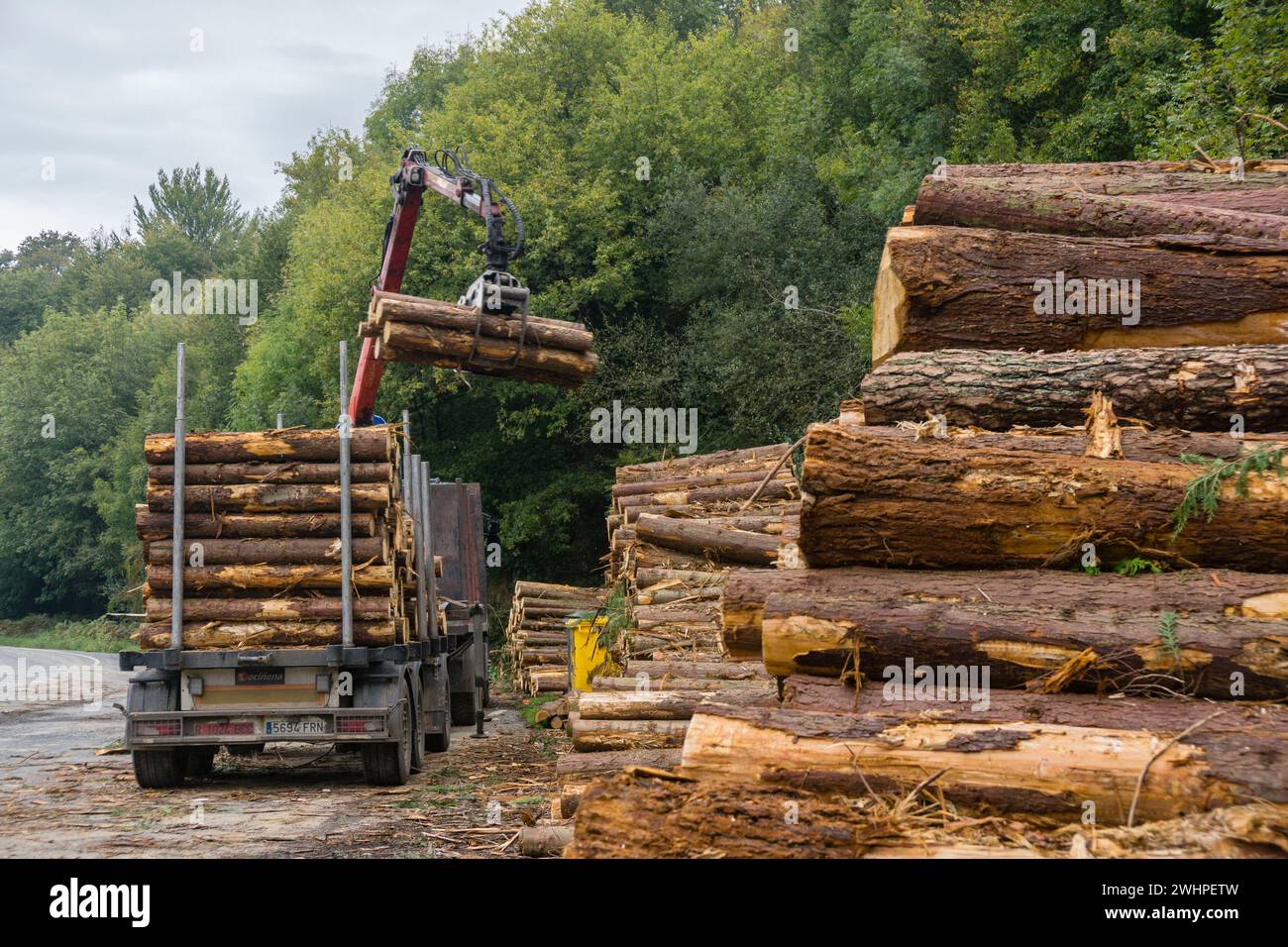 Industria de la madera hi-res stock photography and images - Alamy