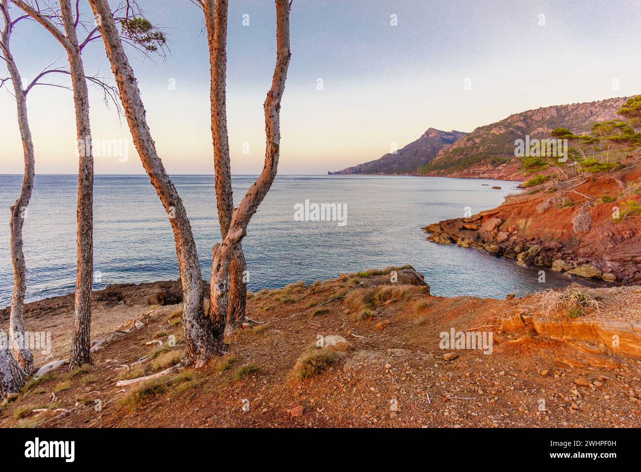 Silueta de la naturaleza hi-res stock photography and images - Alamy