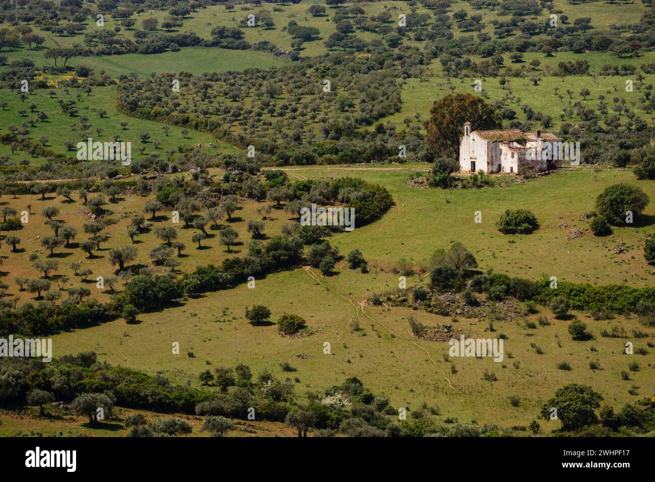 Vegetación de la tierra hi-res stock photography and images - Alamy