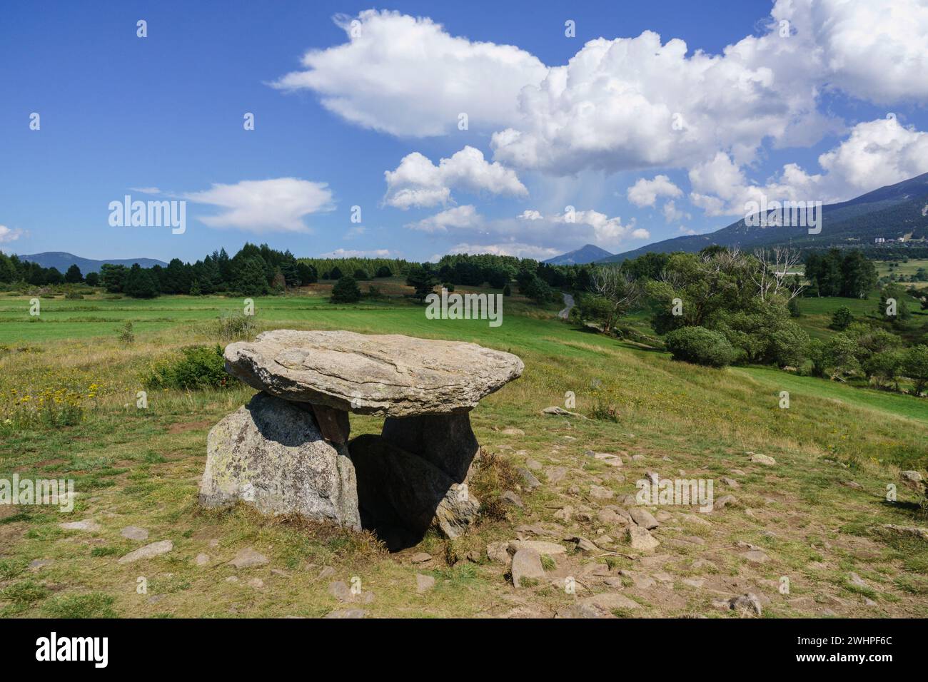 Símbolo de la naturaleza hi-res stock photography and images - Alamy