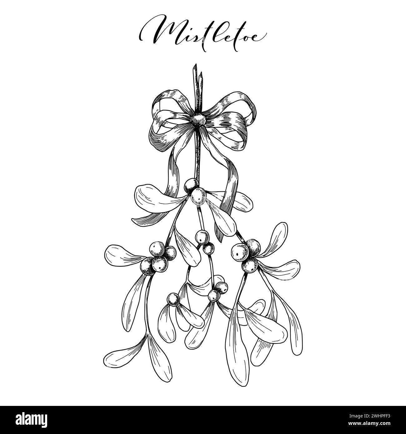 Vintage hand drawn Christmas mistletoe isolated on white background ...