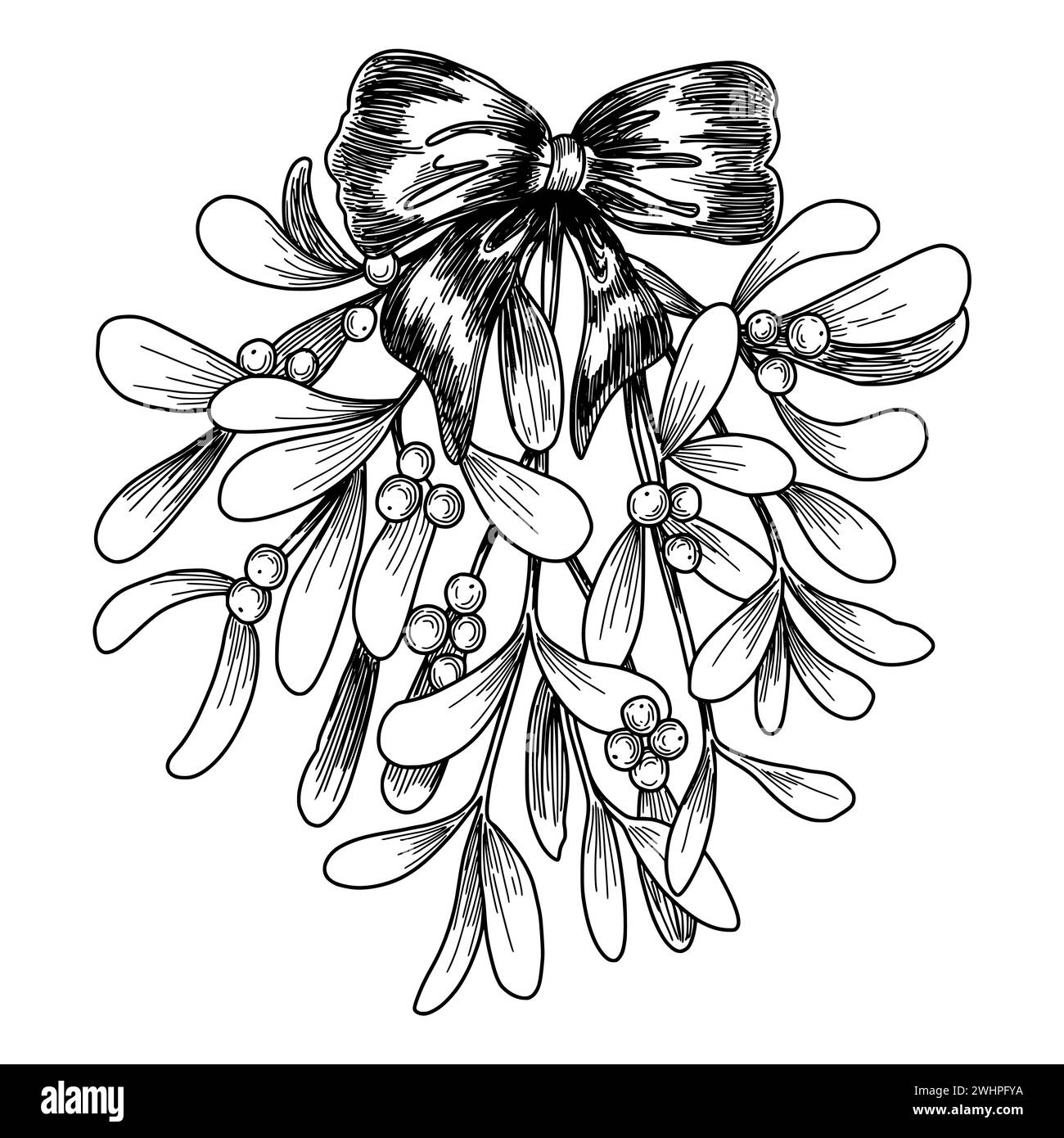 Hand drawn mistletoe, kissing bough with bow, Christmas decoration ...