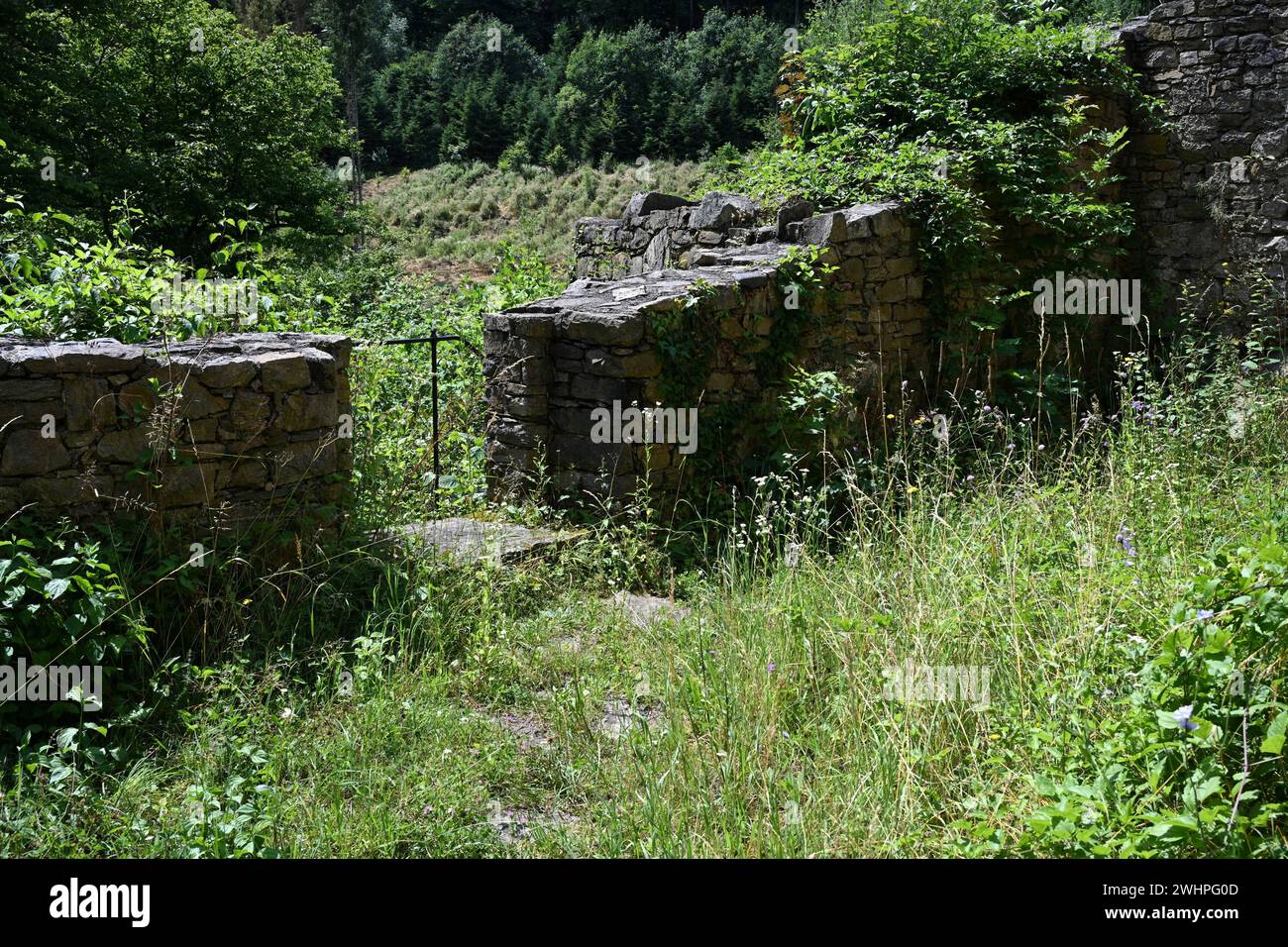 Church castle ruin Gossam, Austria Stock Photo - Alamy