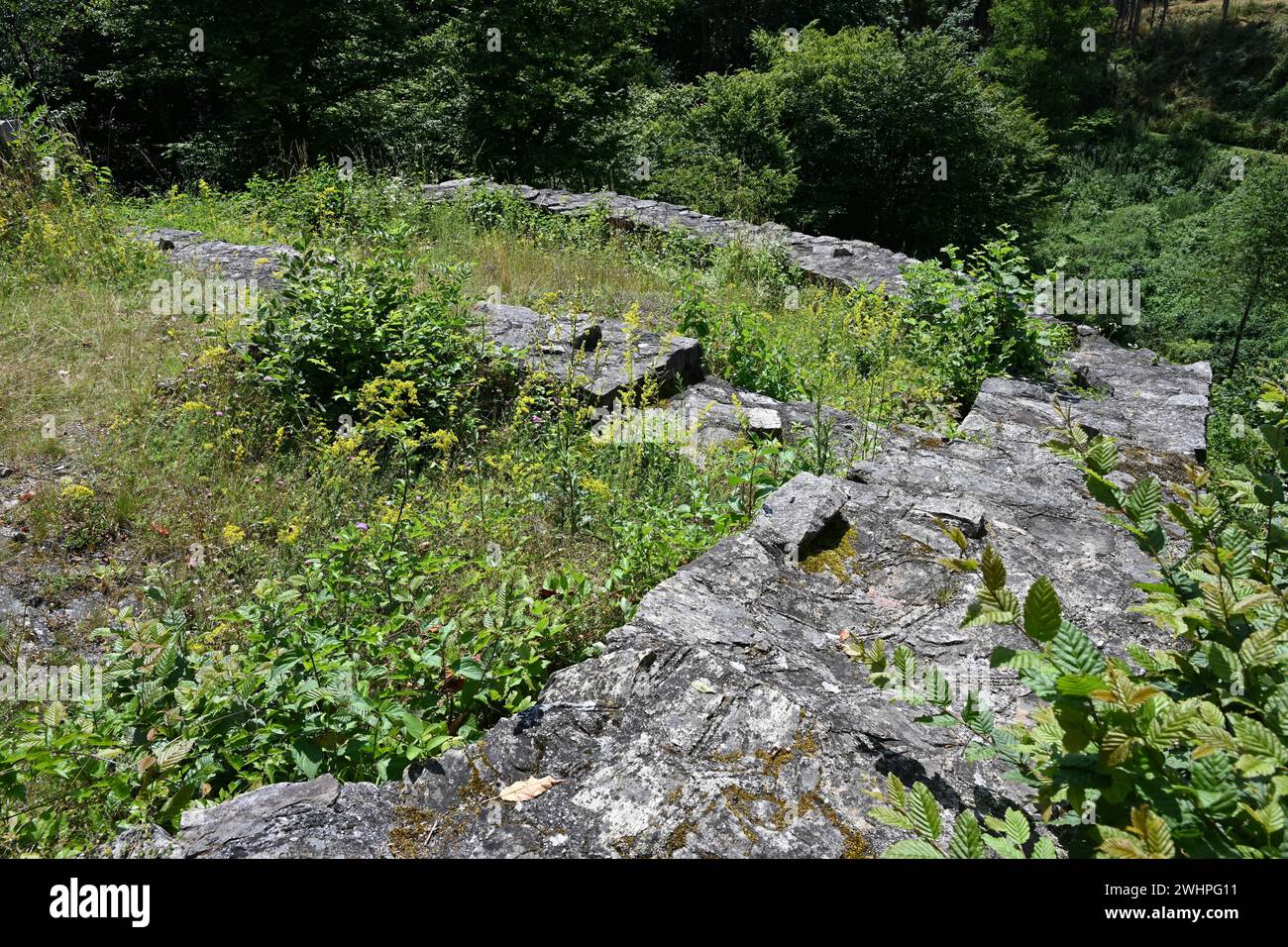 Church castle ruin Gossam, Austria Stock Photo - Alamy