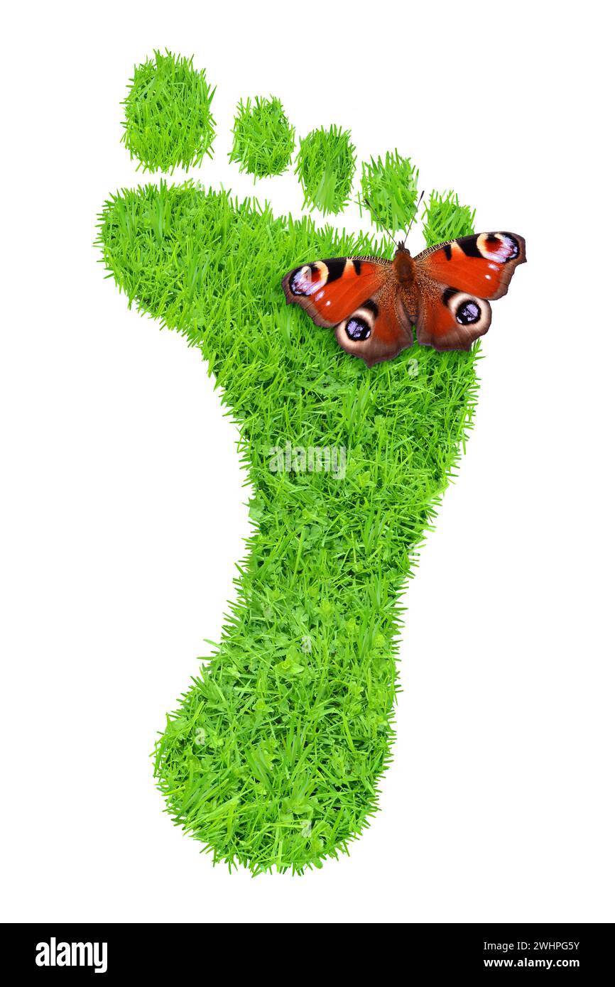 Ecological footprint hi-res stock photography and images - Alamy