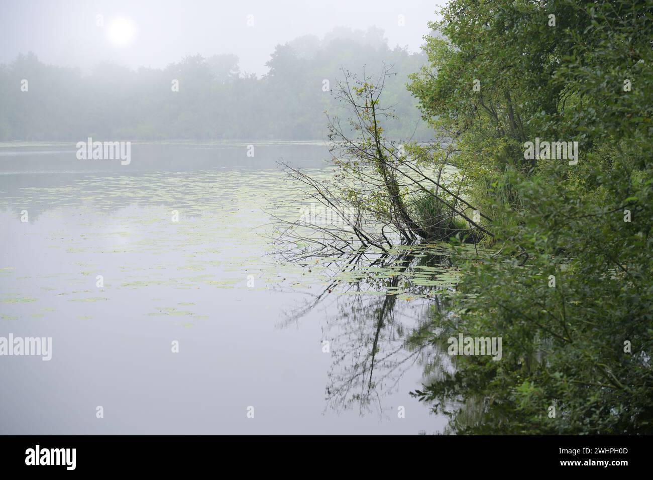 Sun calm hi-res stock photography and images - Alamy