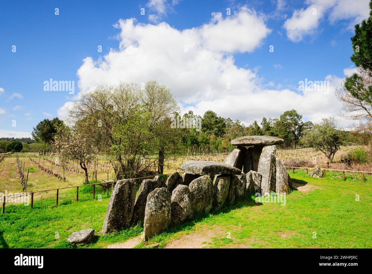Patrimonio colectivo hi-res stock photography and images - Alamy