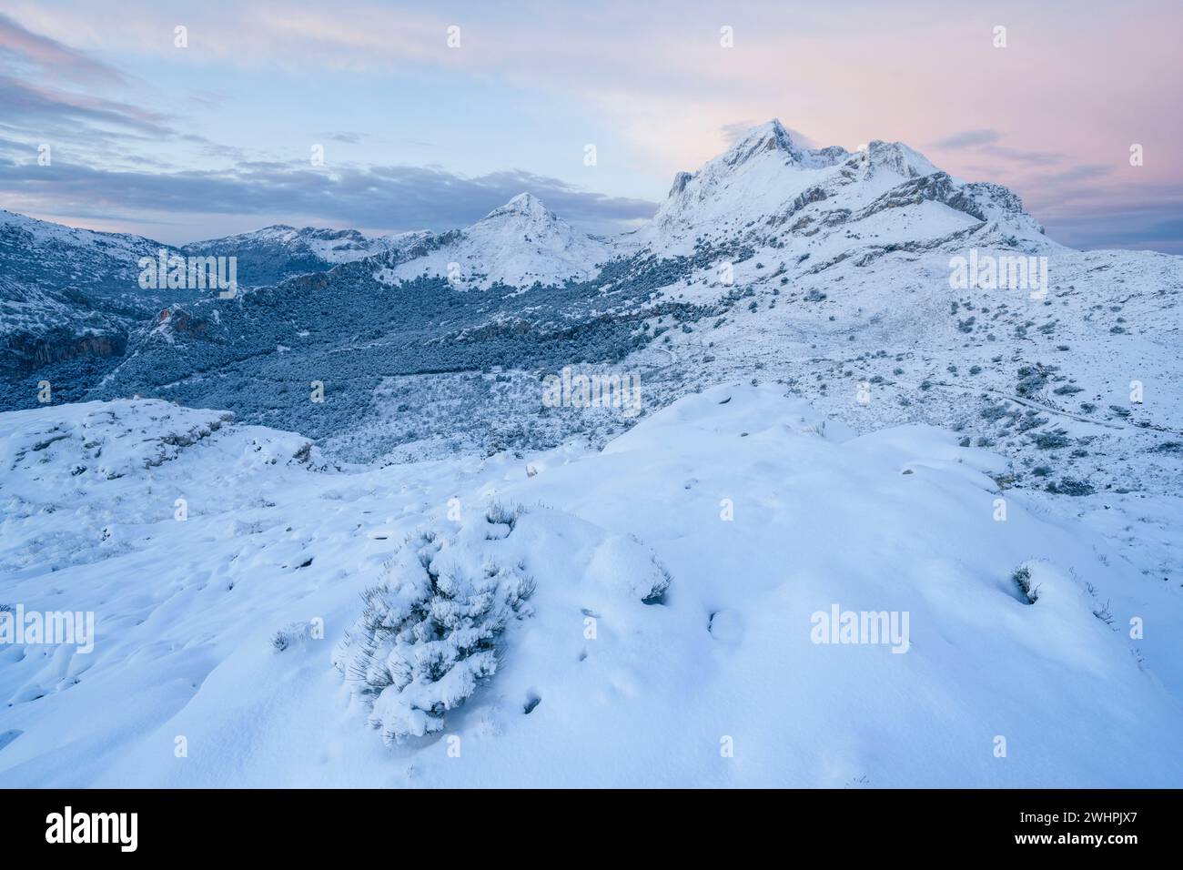 Metros metros hi-res stock photography and images - Alamy