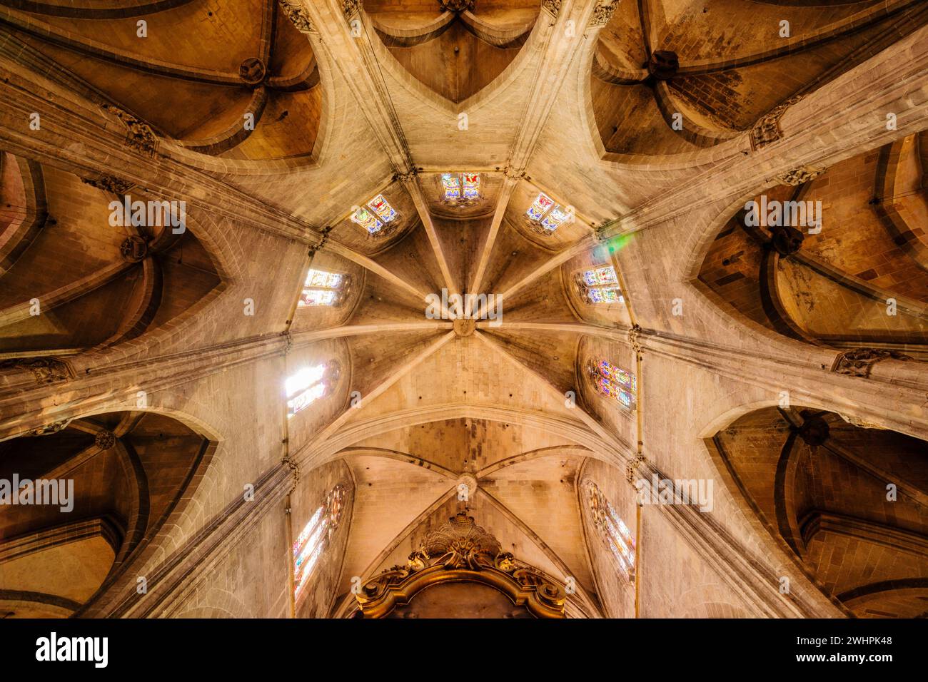 Conocimiento del mundo hi-res stock photography and images - Alamy