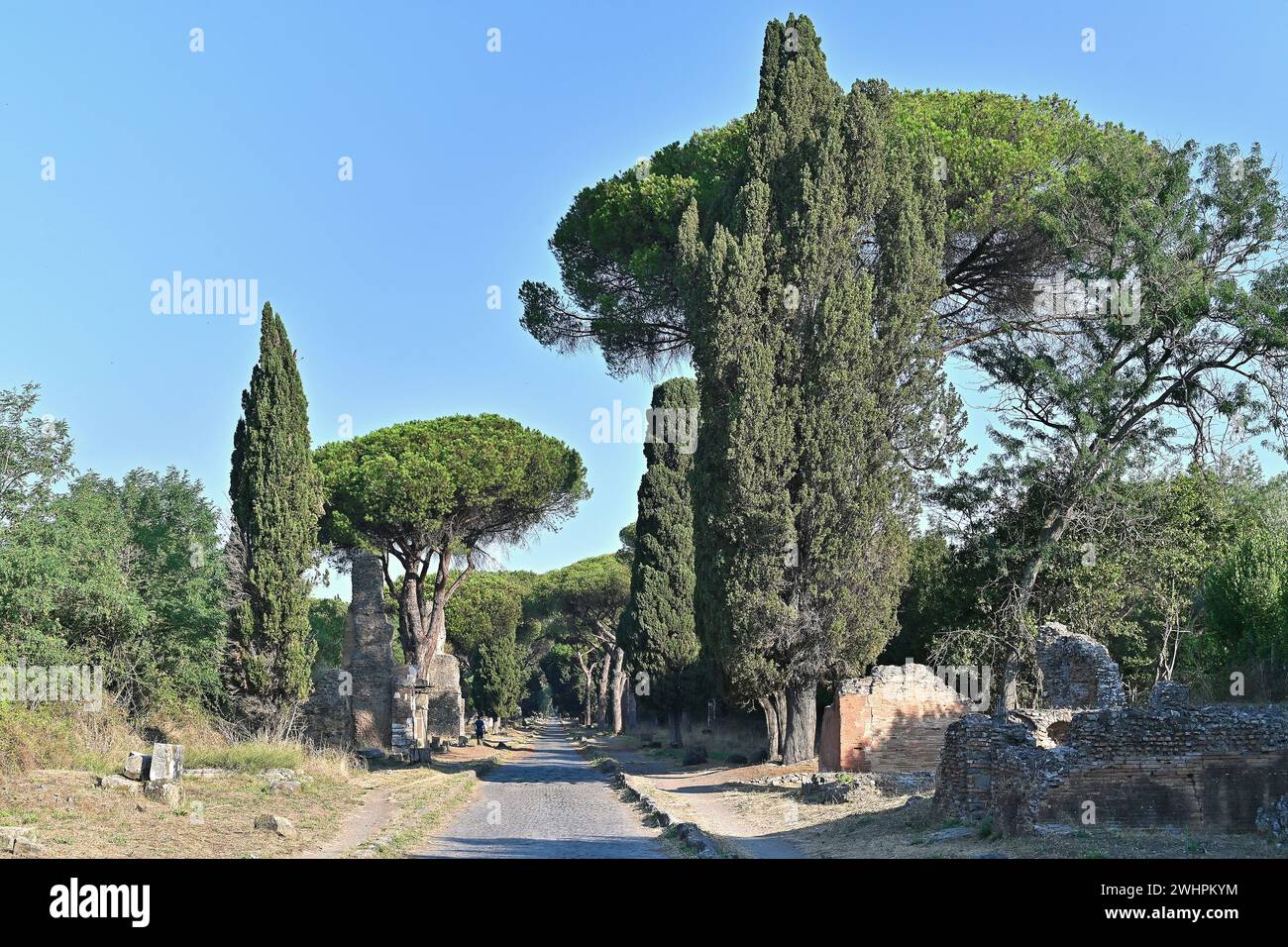 Tombstones, pine trees and cypresses, Via Appia Antica, Rom Stock Photo ...